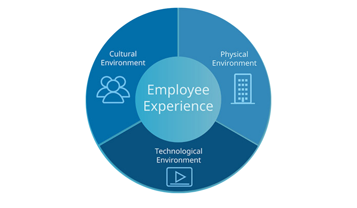 How to Enhance Employee Experience Through Innovative Office Furniture ...